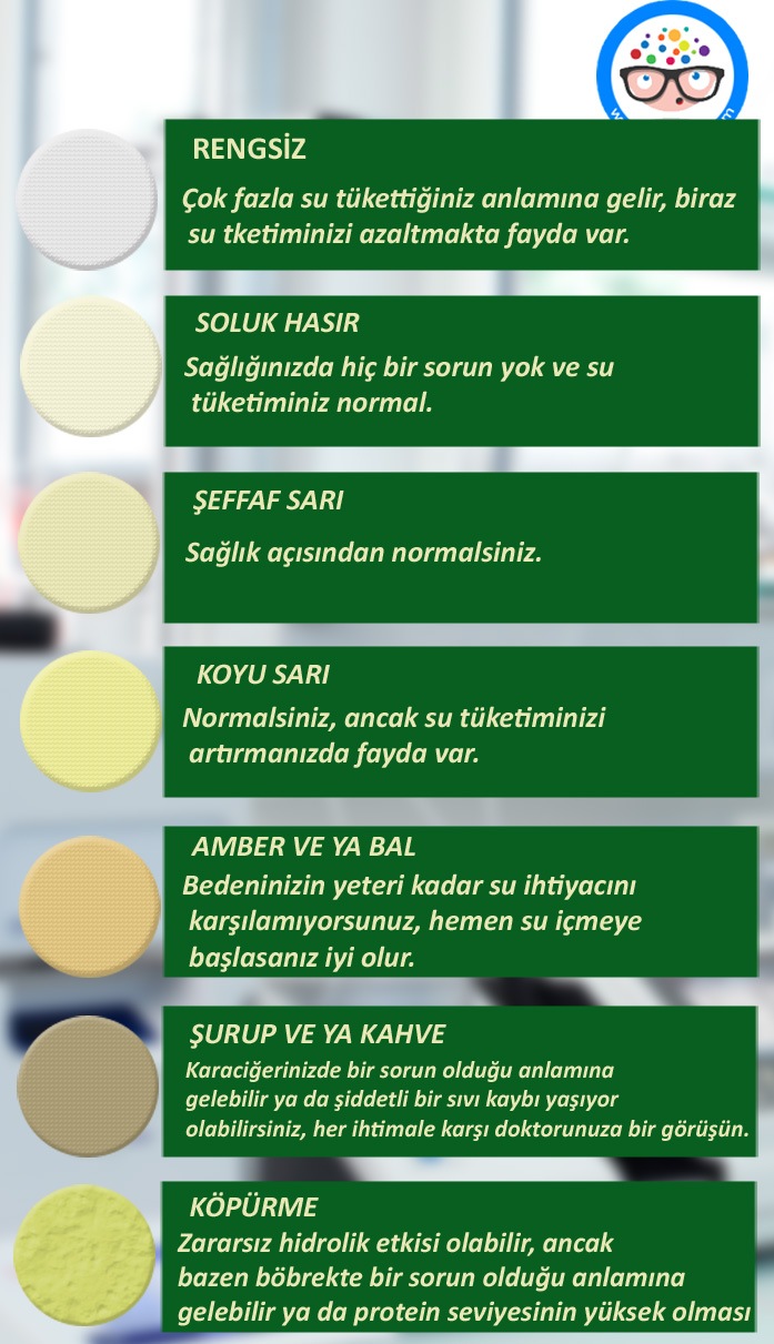 İdrar Rengi Anlamları – BiliminSesi | Sağlık ve Teknoloji