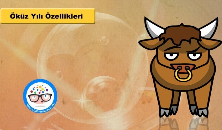 Öküz Yılı Özellikleri – BiliminSesi | Sağlık ve Teknoloji