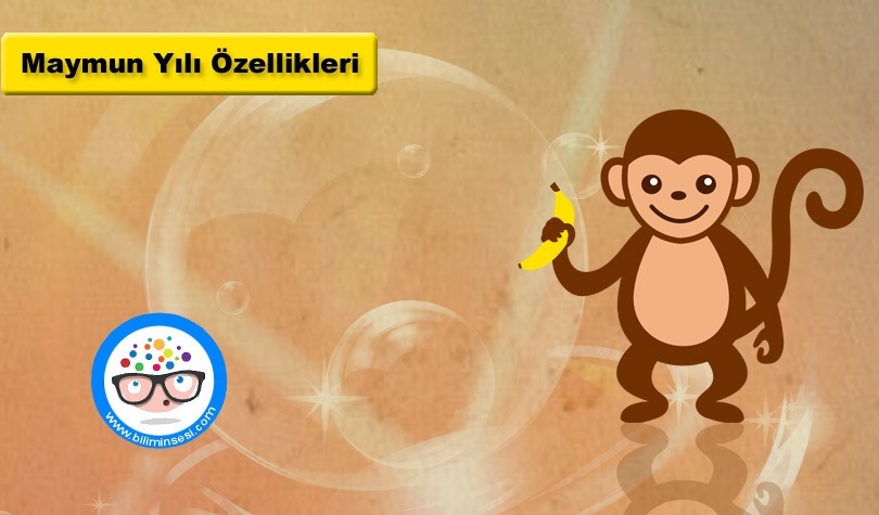 Maymun Yılı Özellikleri – BiliminSesi | Sağlık ve Teknoloji