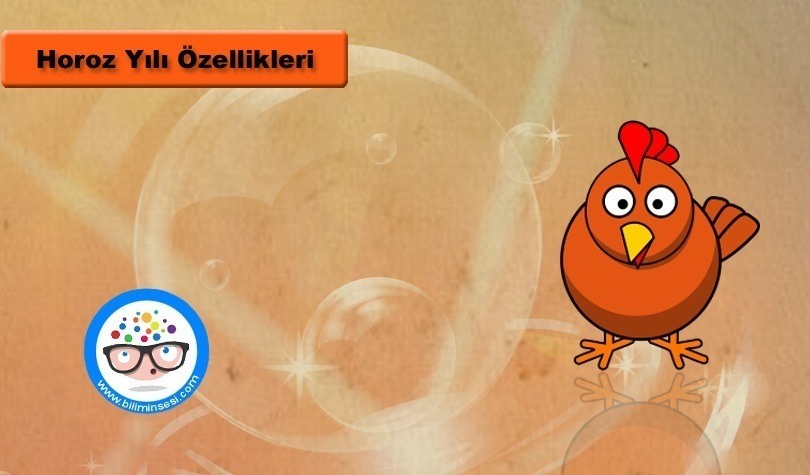 Horoz Yılı Özellikleri – BiliminSesi | Sağlık ve Teknoloji