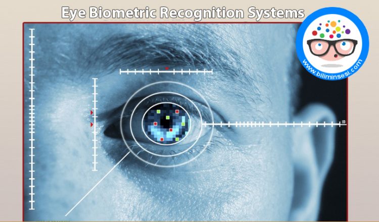 Eye Biometric Recognition Systems – BiliminSesi | Sağlık ve Teknoloji